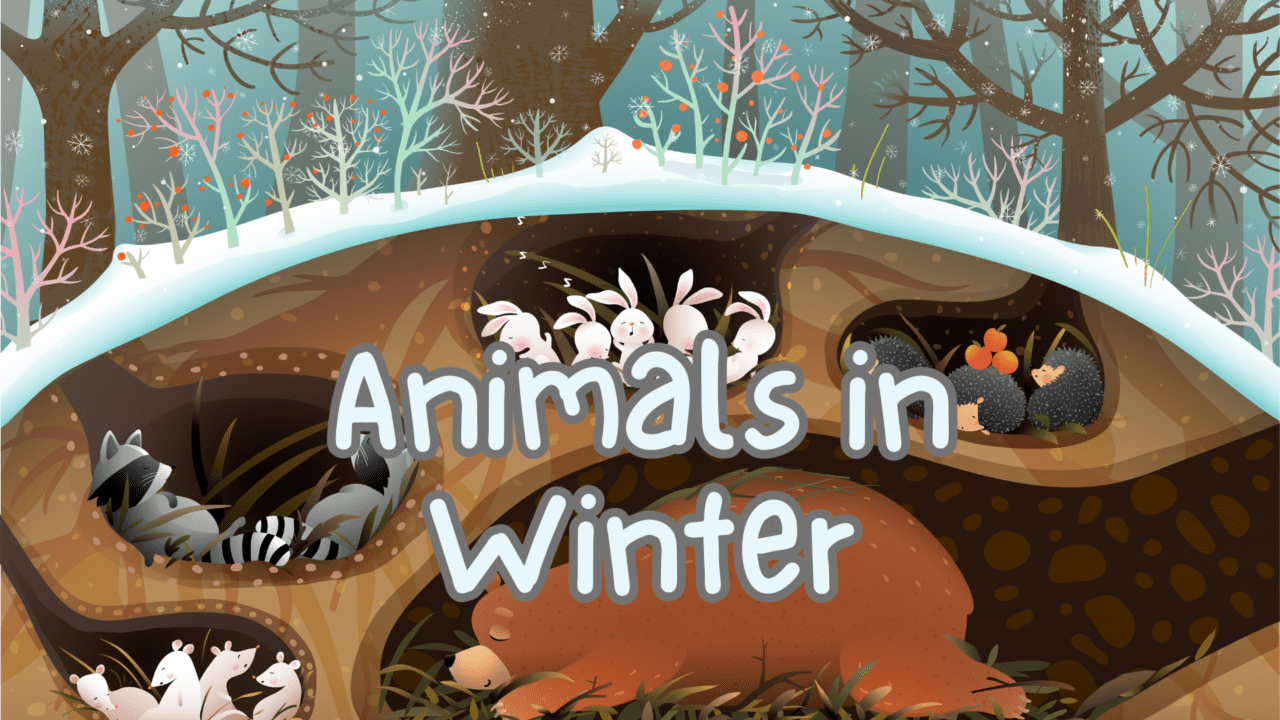 Animals in Winter | The Children’s Museum at Saratoga